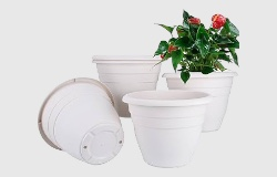 Mini Pots – AB Galleria