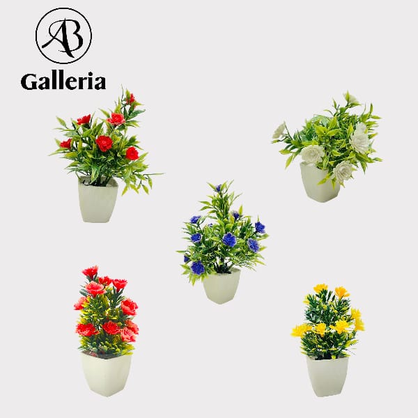 Mini Flower Plant Pack of 5 pcs – AB Galleria