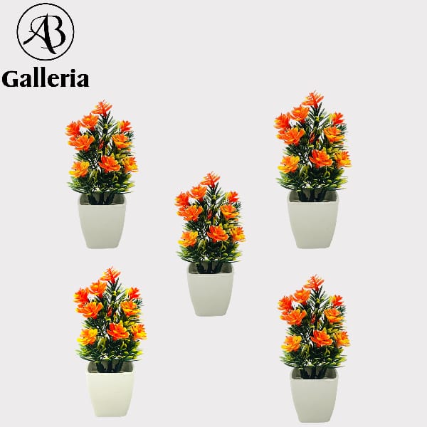 Mini Flower Plant Pack of 5 pcs – AB Galleria